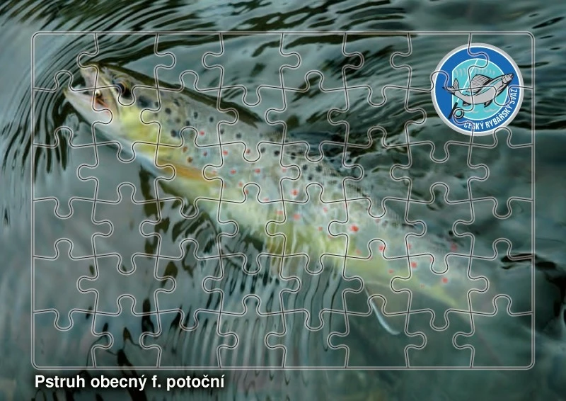 Puzzle Pstruh obecný potoční 🎣 Na Soutoku