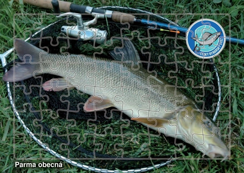 Puzzle Parma obecná 🎣 Na Soutoku